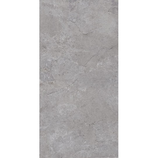 Castelvetro Evolution Grey 60x120 Ceramiche Castelvetro